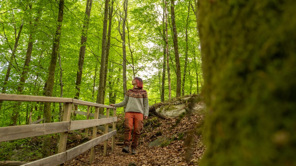 Stoms ås - Västkuststiftelsen